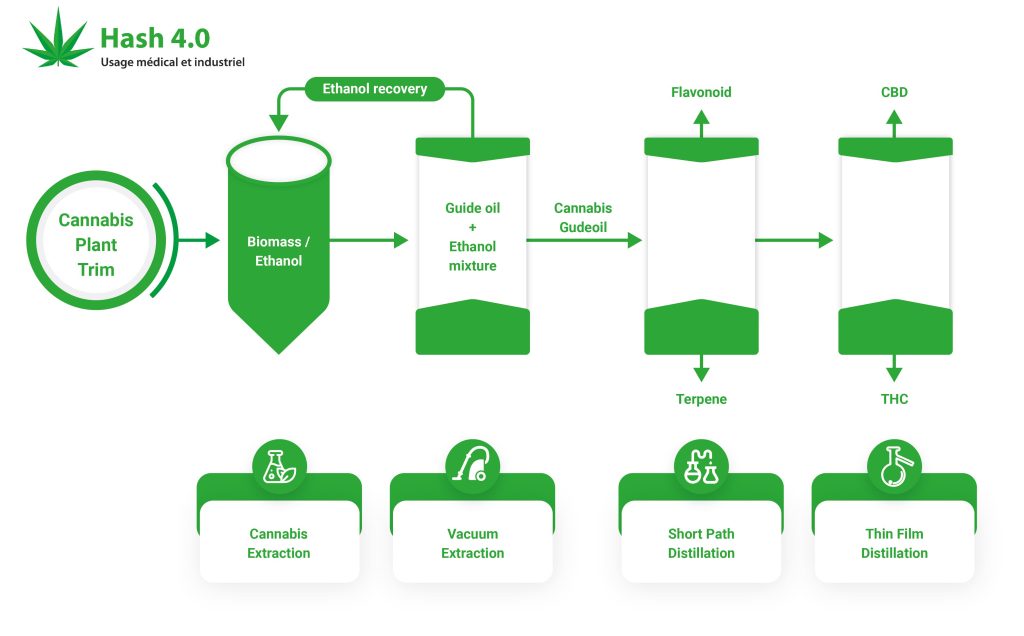 Vacuum distillation in the extraction of cannabinoids Hash 4.0 Chemia ...