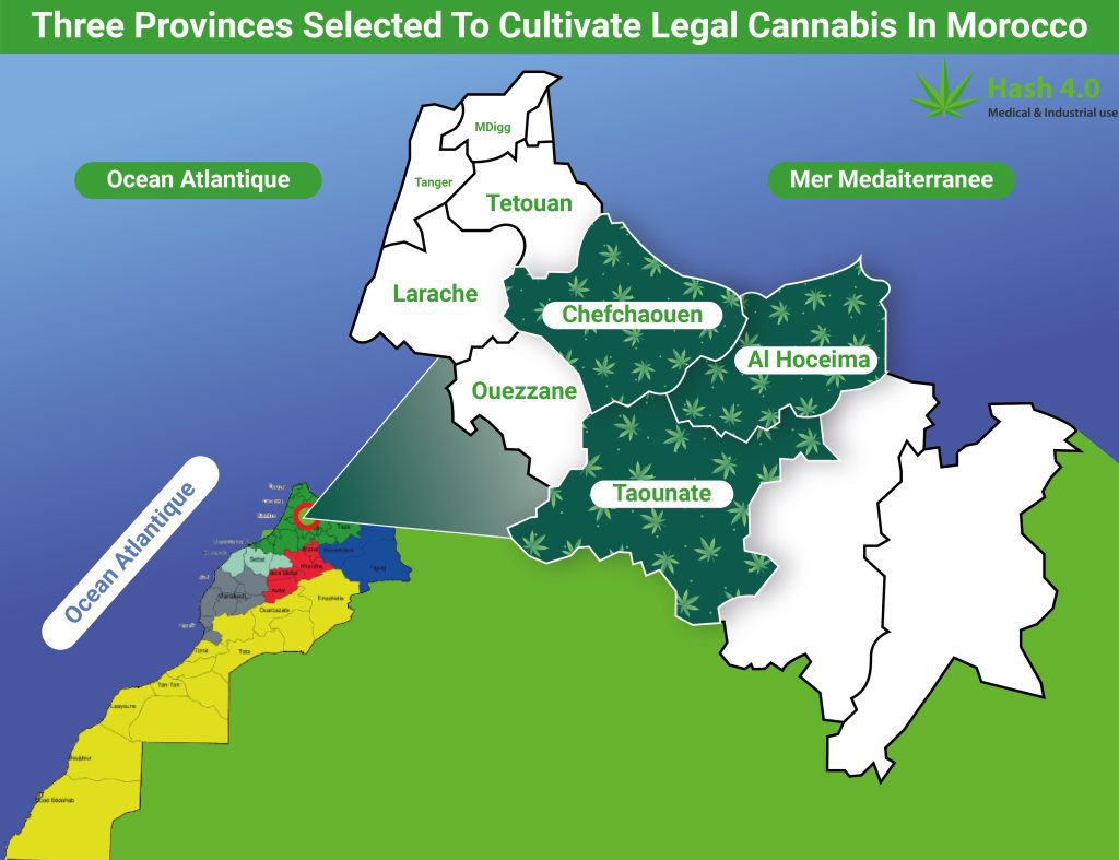 Three Provinces Selected To Cultivate Legal Cannabis In Morocco Hash 4. ...